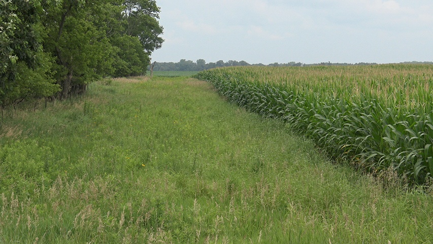Saturated Buffers - Agriculture's Clean Water Alliance